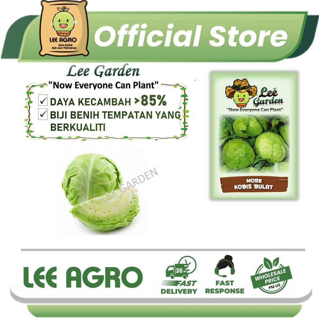 LEE GARDEN BIJI BENIH MORE KOBIS BULAT / KUBIS CABBAGE SEED VEGETABLE ... LEE GARDEN BIJI BENIH MORE KOBIS BULAT / KUBIS CABBAGE SEED VEGETABLE ...