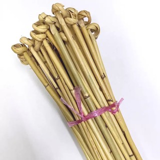 Wecareyou20 Natural Sega Stick Rotan Rattan Rotan Kanak Bamboo Stick ...