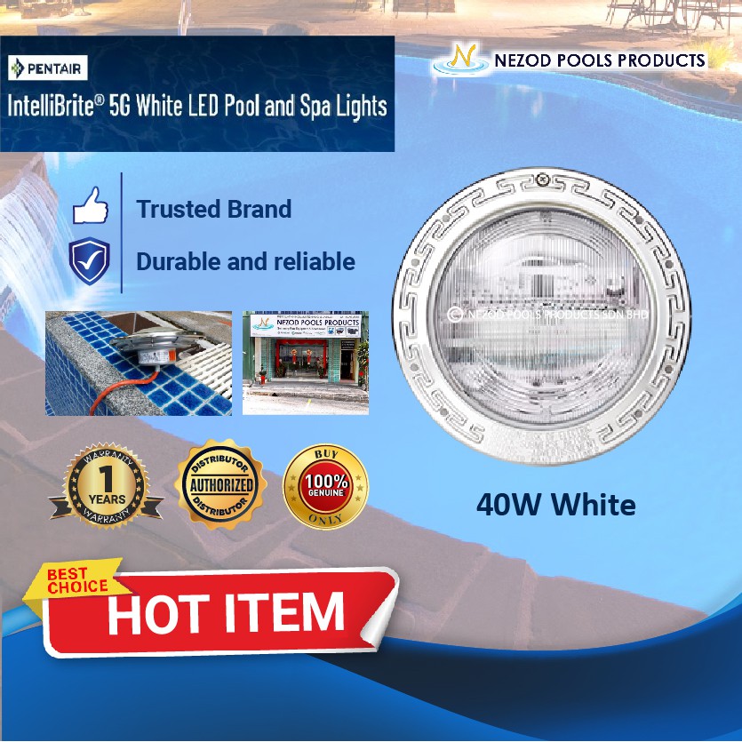 PENTAIR INTELLIBRITE 5G WHITE LED POOL LIGHT 40W/12V UNDERWATER LIGHT ...