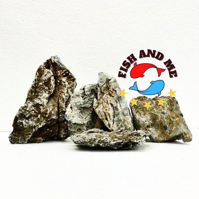 Aquarium Seiryu Rock Aquascaping Seiryu Stone 1kg Batu Hiasan Akuarium ...