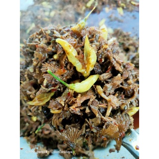 SAMBAL KODOP/CENDAWAN KUKUR + LADA PUTIH(MUSLIM HOMEMADE) | Shopee Malaysia