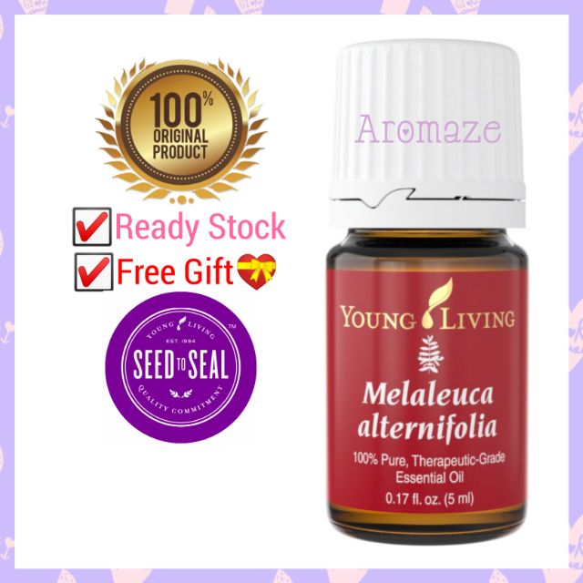 Young Living 5ml Melaleuca Alternifolia (Tea Tree) | Shopee Malaysia