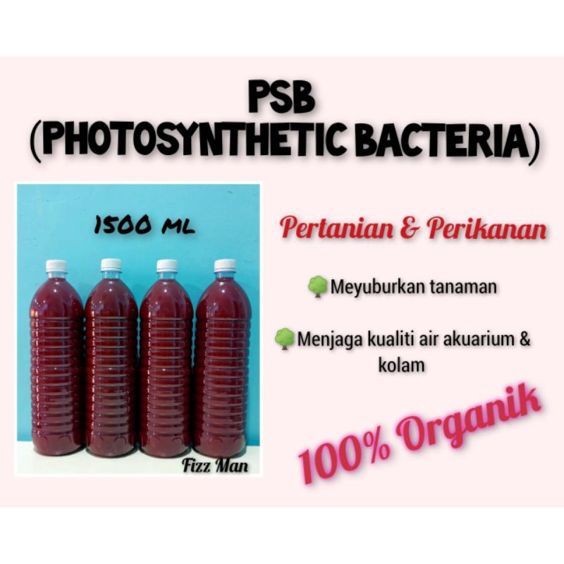 PSB (Photosynthetic Bacteria) | Shopee Malaysia