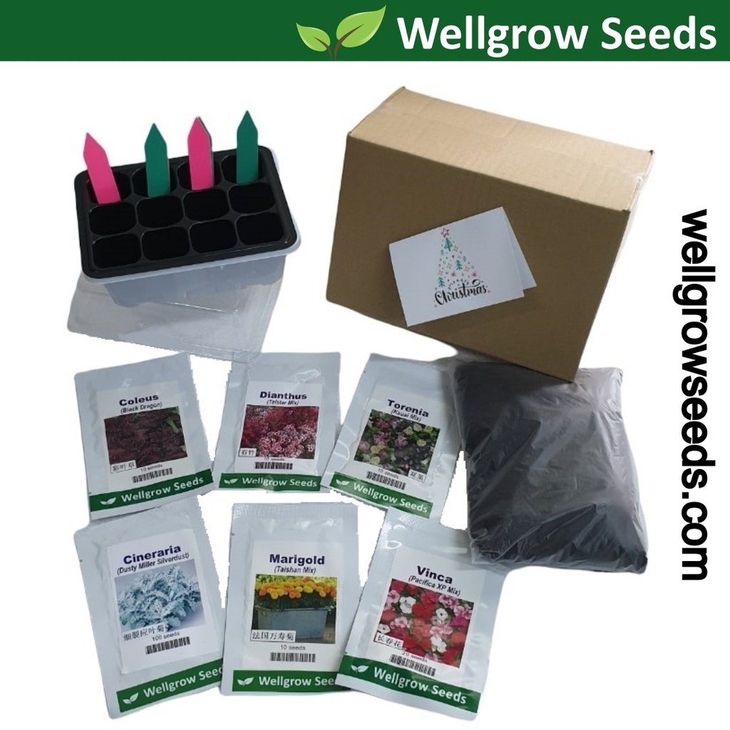 Wellgrow Seeds Official Store, Online Shop | Shopee Malaysia