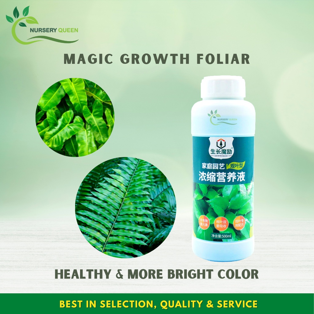 Growth Magic Foliage Fertilizer Concentrate 500ml Baja Foliar Keladi ...