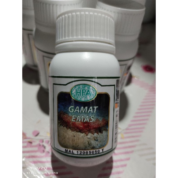 kapsul gamat emas 100% original hpa (exp mei2024) | Shopee Malaysia