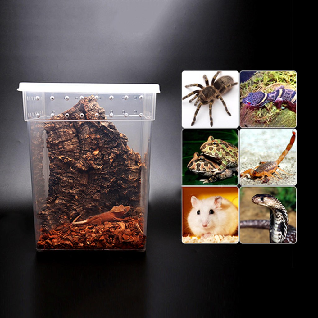 Crested Gecko Tarantula Tall Reptile Box Insect Plastic shelter Box 20 ...