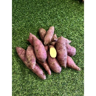 ubi kentang - Prices and Promotions - Feb 2023 | Shopee Malaysia