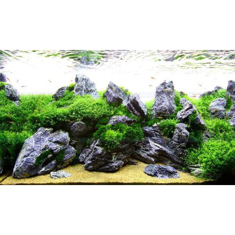 🇲🇾 Ready Stock 🇲🇾 5kg Aquarium Aquascape Black Mountain Seiryu Ryuoh ...