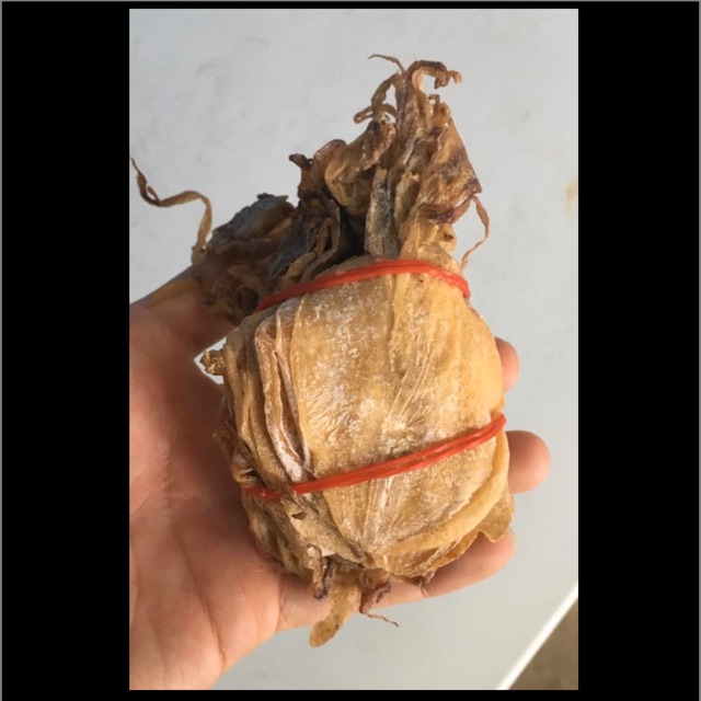 Local Sotong Kering 100g/packet - Dried Squid | Shopee Malaysia