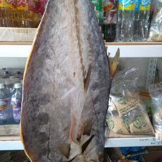 IKAN TALANG 1KG (BAHAGIAN TULANG) | Shopee Malaysia