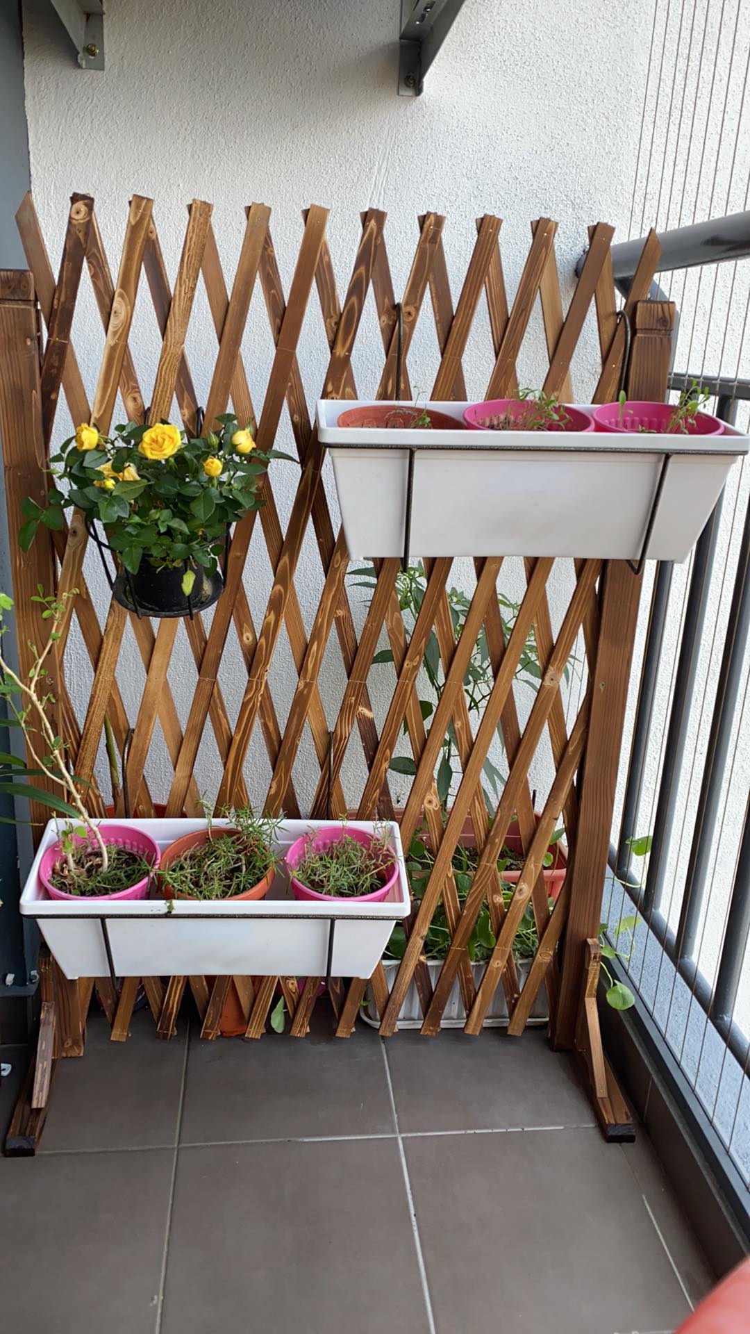 Garden partition outdoor courtyard indoor anticorrosive wood telescopic ...