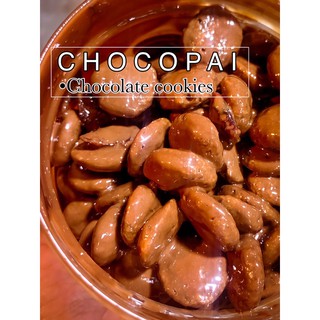 Chocopai with cranberry | Shopee Malaysia