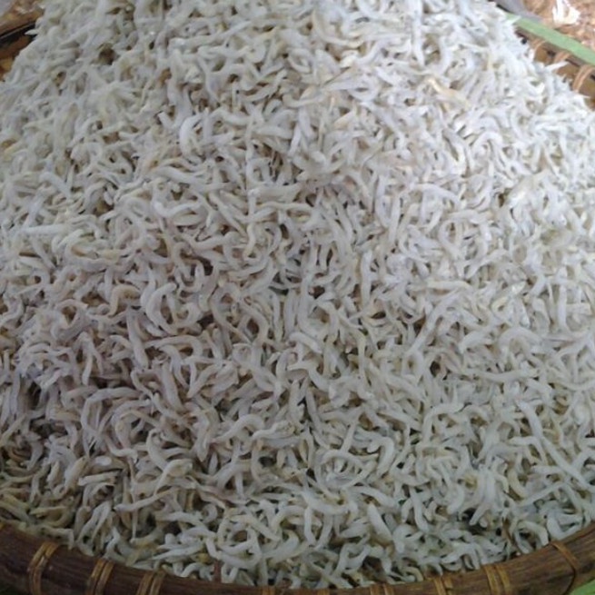 Ikan Bilis Halus Mata Biru Sabah (Halus) - Gred 3A (500g/1kg) | Shopee ...