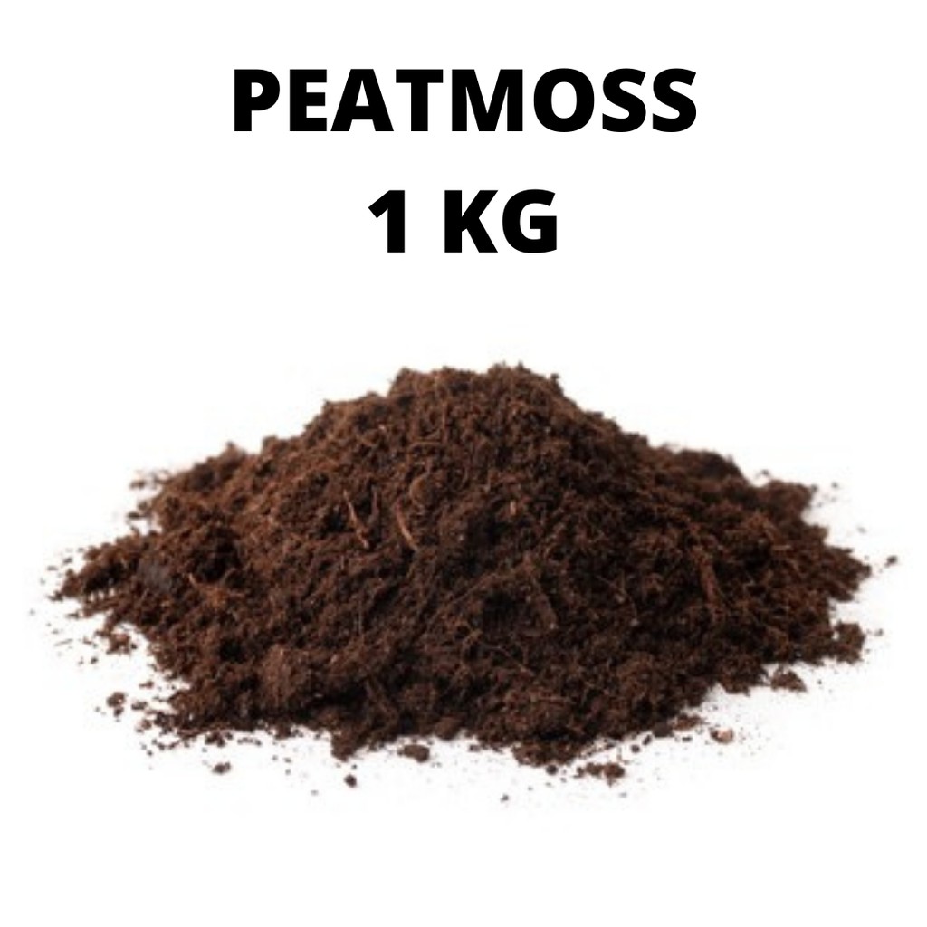 Peatmoss Holland seeding soil/tanah semaian 1kg | Shopee Malaysia