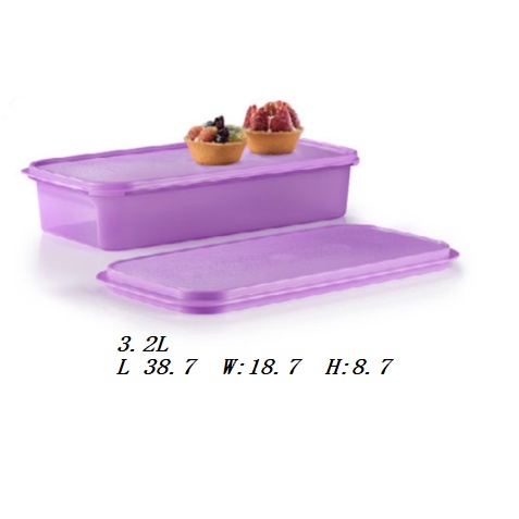 Tupperware Shallow Carry All with Extra Seal or Rectangular Keeper (1pc ...
