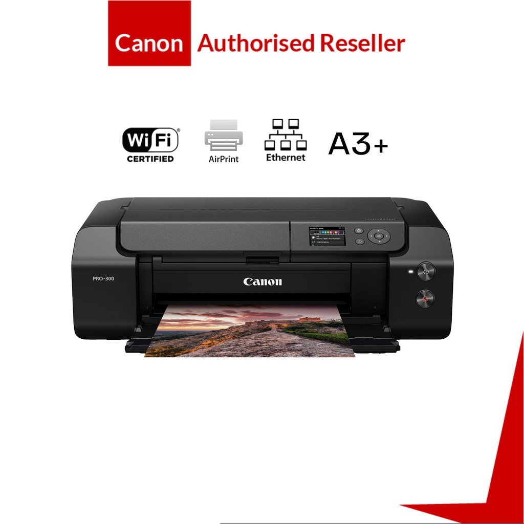 Canon Pixma Pro-300 A3+ Size Professional Photo Printer ( With Wifi ...