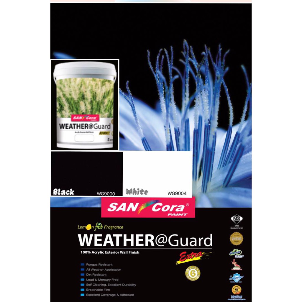 5LITER SANCora WEATHER@Guard Advance Acrylic Exterior Wall Finish ...