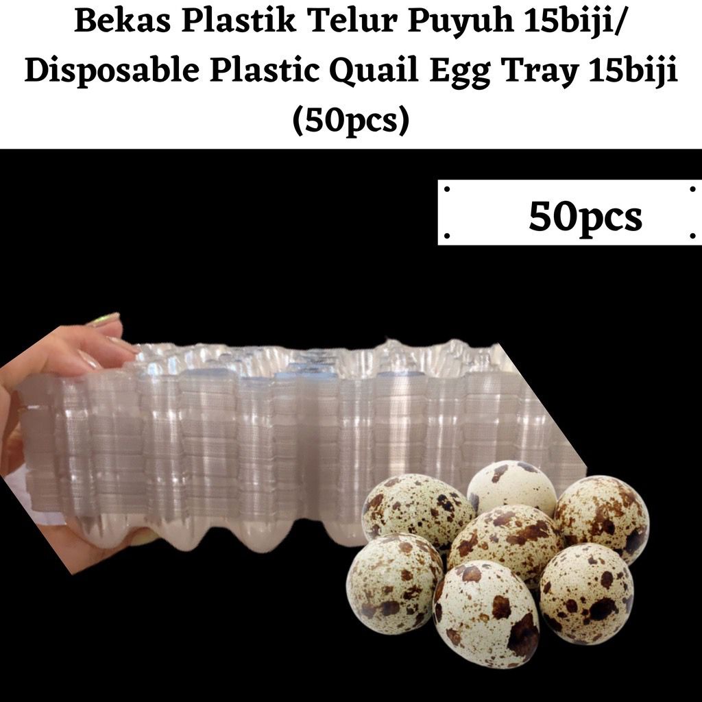 (Ready Stock)Bekas Plastic Telur Ayam Puyuh 15biji(50pcs)/Disposable ...