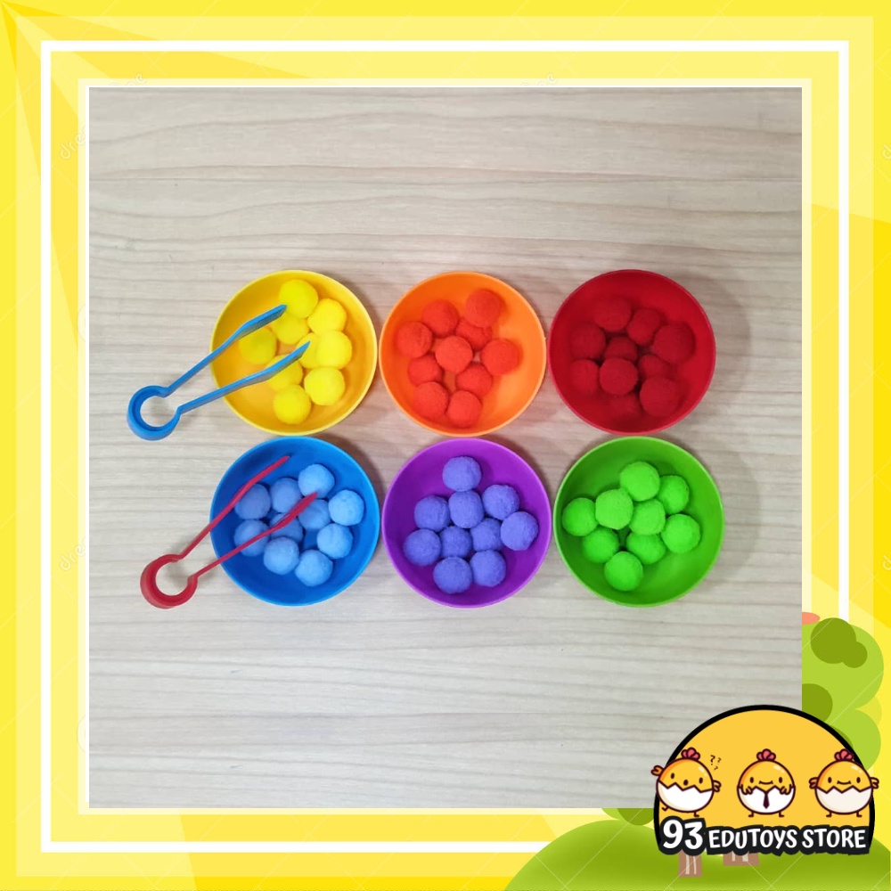 Colourful Counting Sorting Matching Cup Montessori Early Learning Child ...
