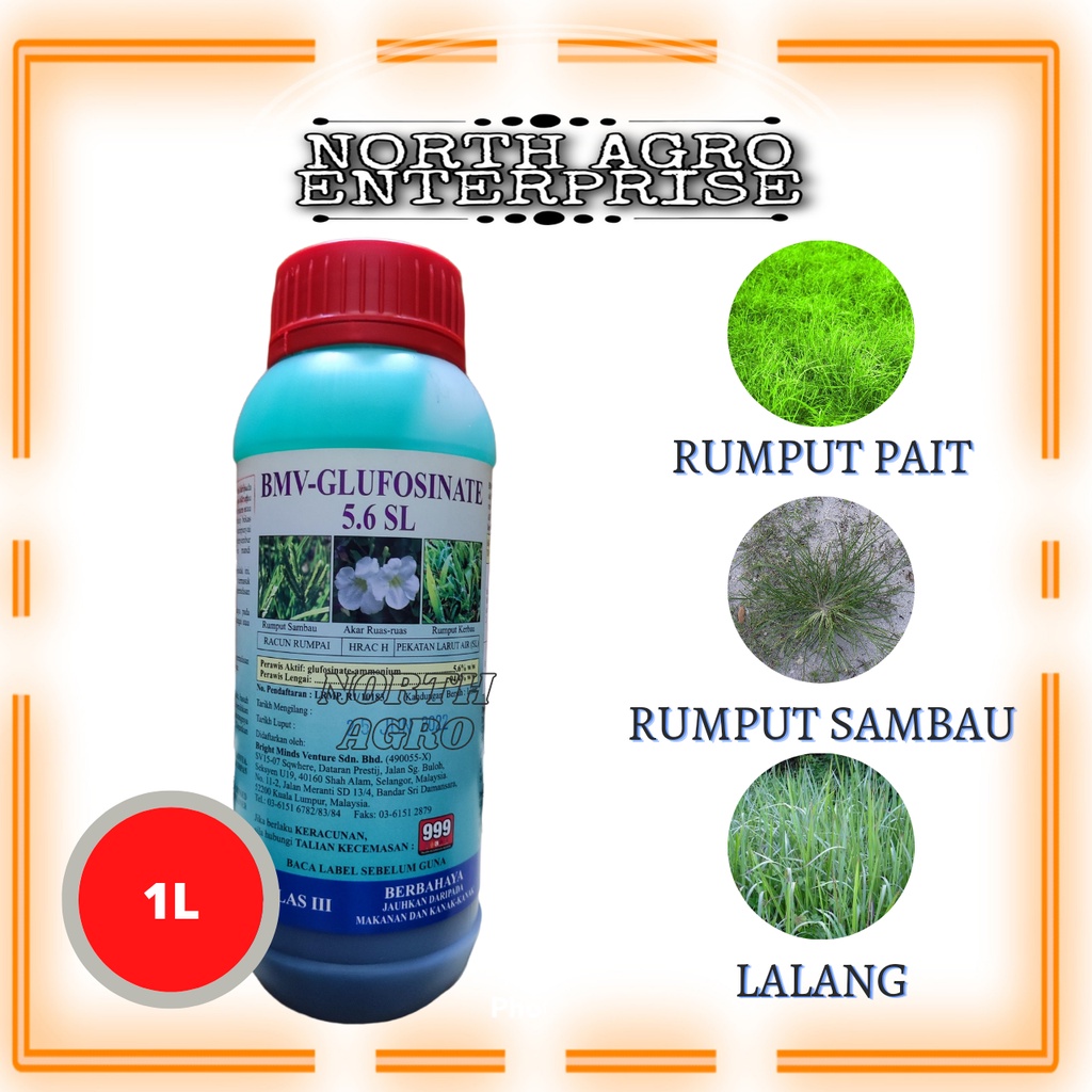 BMV Glufosinate 5.6SL (Racun Rumput Rumpai Jenis Sentuhan dan Serap ...
