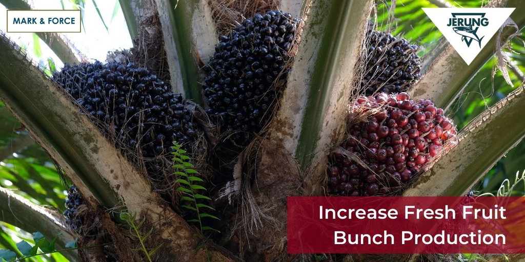 Mark & Force Official Shop, Online Shop | Shopee Malaysia