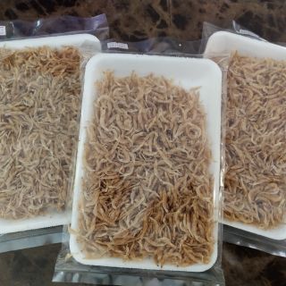 Udang geragau / udang baring | Shopee Malaysia