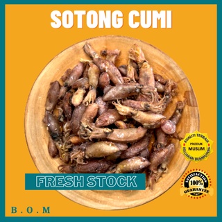 SOTONG CUMI- CUMI FRESH READY STOCK ! ORIGINAL TAWAU | Shopee Malaysia