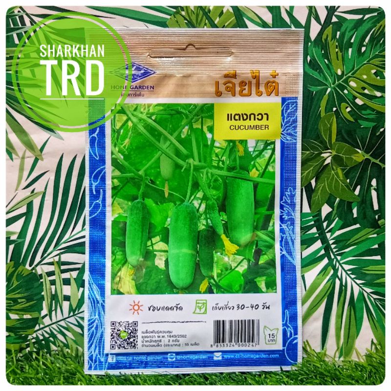 Paket 55 Biji (Seeds) BABY CUCUMBER Chia Tai Home Garden Biji Benih ...