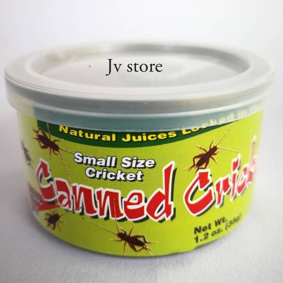 Canned Cricket Farm Raised 35gram for Aquarium Fish Lizard Bird Frog ...