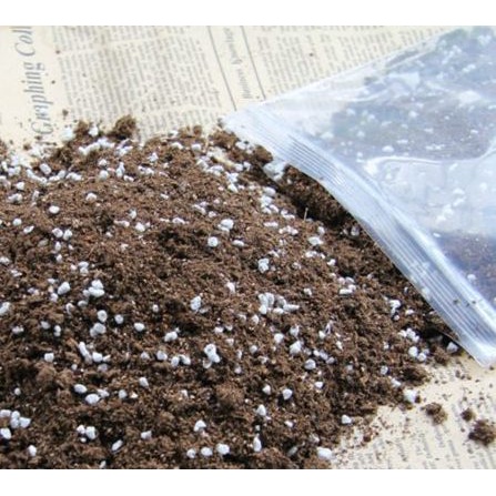 Peat Moss (Import) mix Perlite / tanah semaian campuran perlite ( 2 ...