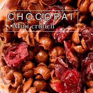 Chocopai with cranberry | Shopee Malaysia