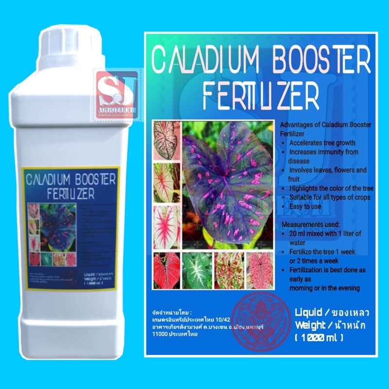 [250 ml - 1 liter] Keladi Booster/Fertilizer/Baja Keladi/caladium/Baja ...