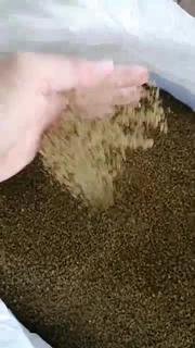 Gold Coin Dedak Ayam Daging 1kg | 201C Starter | 202P Grower | 203 ...