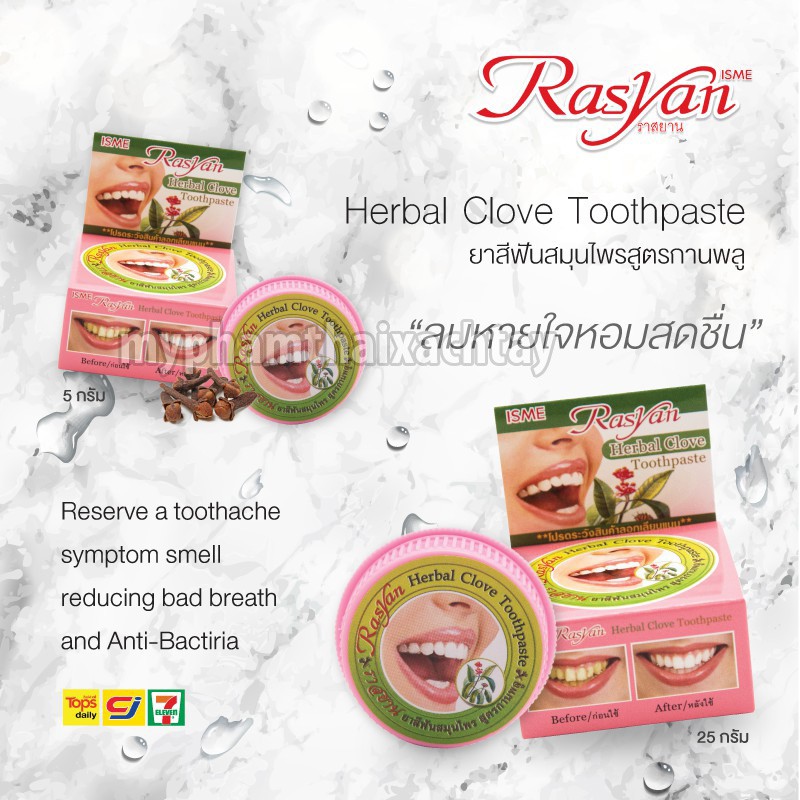 Rasyan Rasyan Herbal Clove Toothpaste Powder Herbal Toothpaste 25g ...