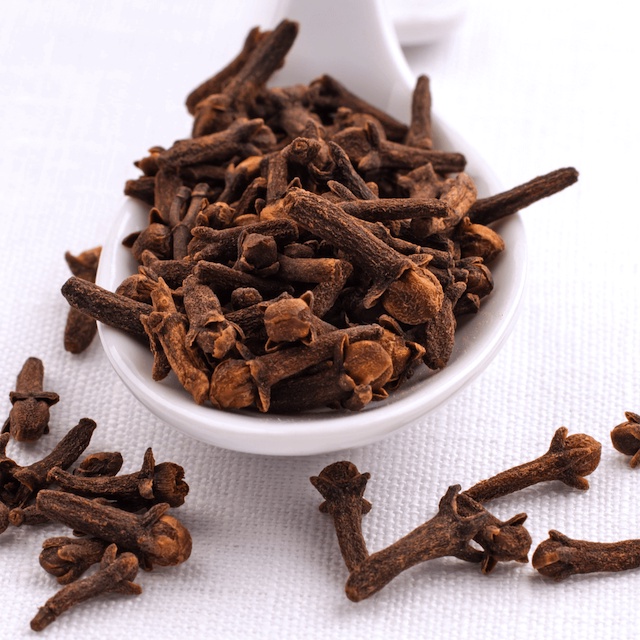 Anak Pokok Bunga Cengkih | Shopee Malaysia