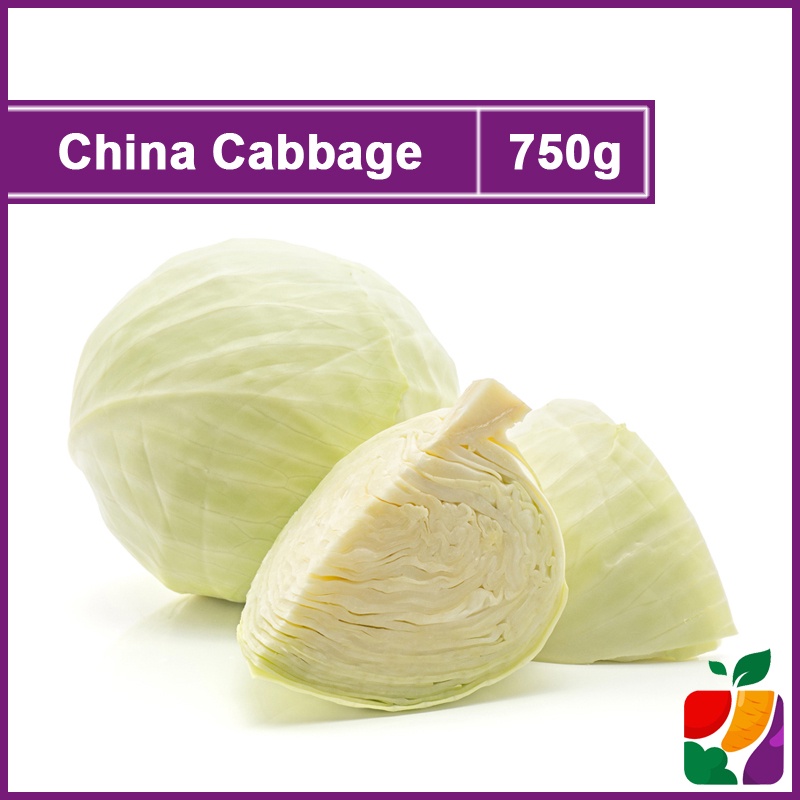 China Cabbage / Kobis Bulat China / 中国包菜 (750g) Fresh Vegetables ...
