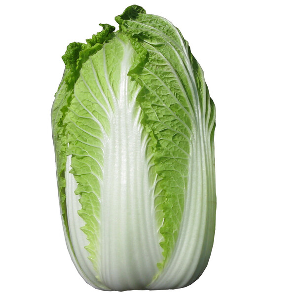 CABBAGE-CHINESE/KUBIS CHINA 1KG | Shopee Malaysia