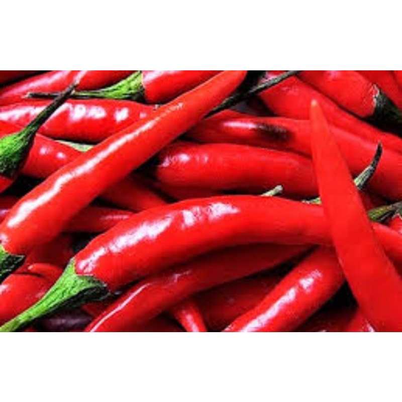 lada merah dari ladang | Shopee Malaysia