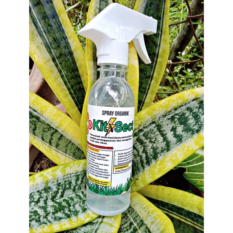 KitSect Spray Organik Lipas Semut Cicak Serangga Tikus | Shopee Malaysia