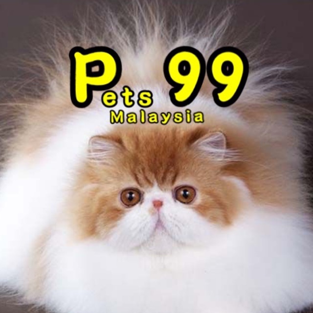 Pets99_malaysia, Online Shop | Shopee Malaysia