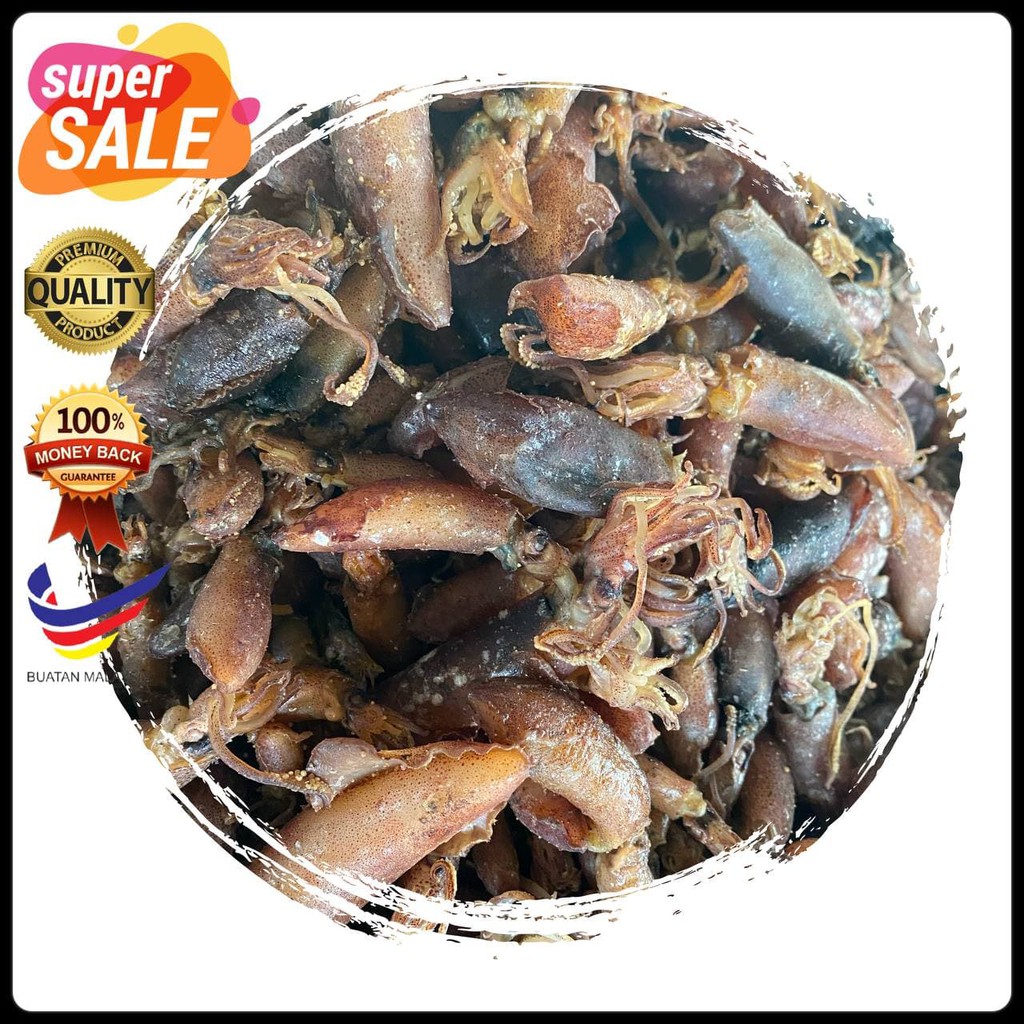 Sotong Cumi / Bulat Sabah- Pack 500g -Fresh -Sedap🦑🦑🦑🦑🦑 | Shopee Malaysia