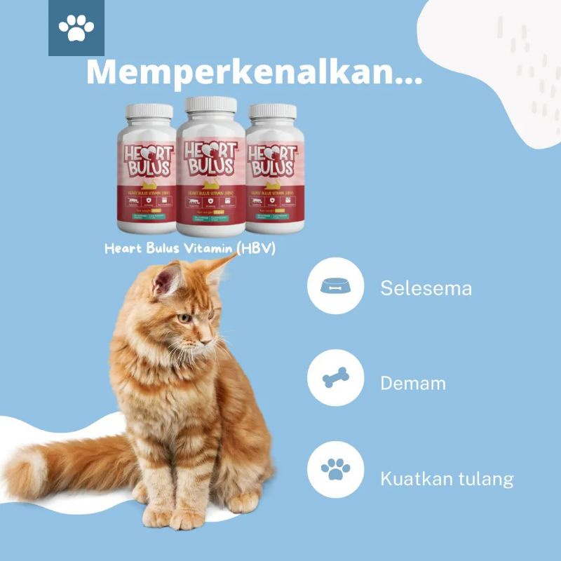 Vitamin untuk Demam dan Selsema Kucing Heart Bulus 125 ML | Shopee Malaysia
