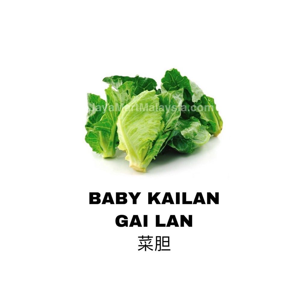 [Klang Valley Only] Baby Kailan Kale Gai Lan Kale - 500g +/- | Shopee ...