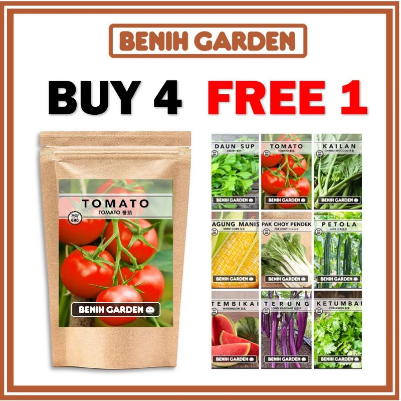 Benih Benih Sayur Kacang Bunga Vegetable Bean Flower Daun Sup | Shopee ...
