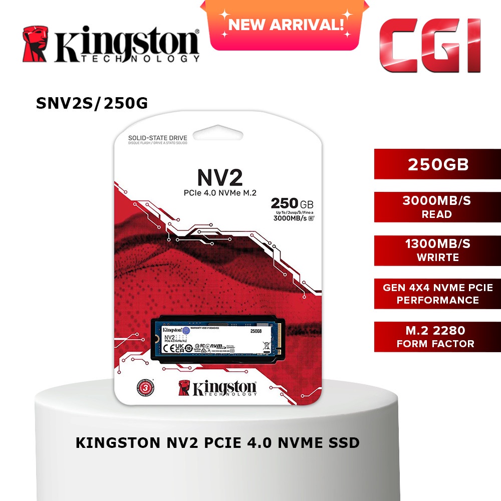 Kingston 250GB NV2 PCIe 4.0 NVMe SSD - SNV2S/250G | Shopee Malaysia