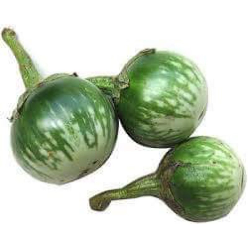 20pcs Round eggplant green/ terung bulat hijau/ mini repack | Shopee ...