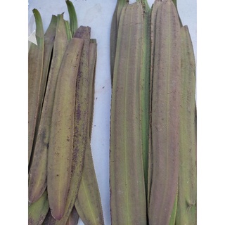 Buah Beka Muda (bonglai) | Shopee Malaysia