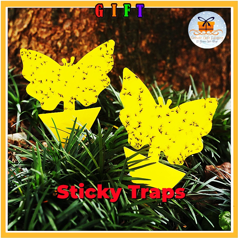 GIFT Sticker Flies Fruit Fly Insect Yellow Sticky Trap / Pelekat ...