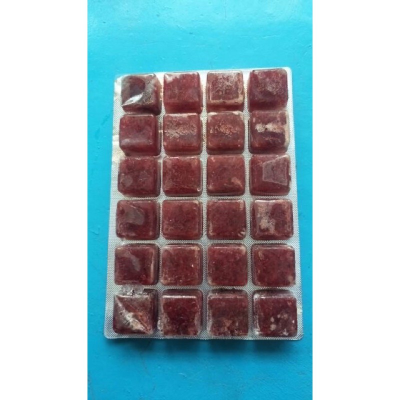 [ NO C.O.D ]Cacing Beku Frozen Bloodworm for Fish Betta Discus Arowana ...